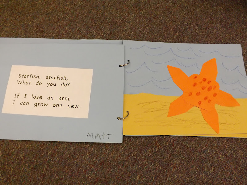 Mrs. Vento's Kindergarten: The Ocean Blue - TLC Book