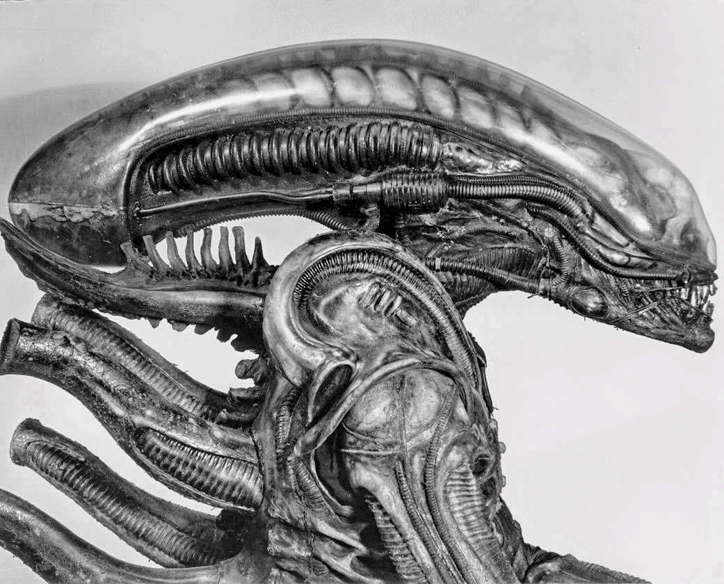 Alien Explorations: Alien: Physicality of the Alien humanoid's head.