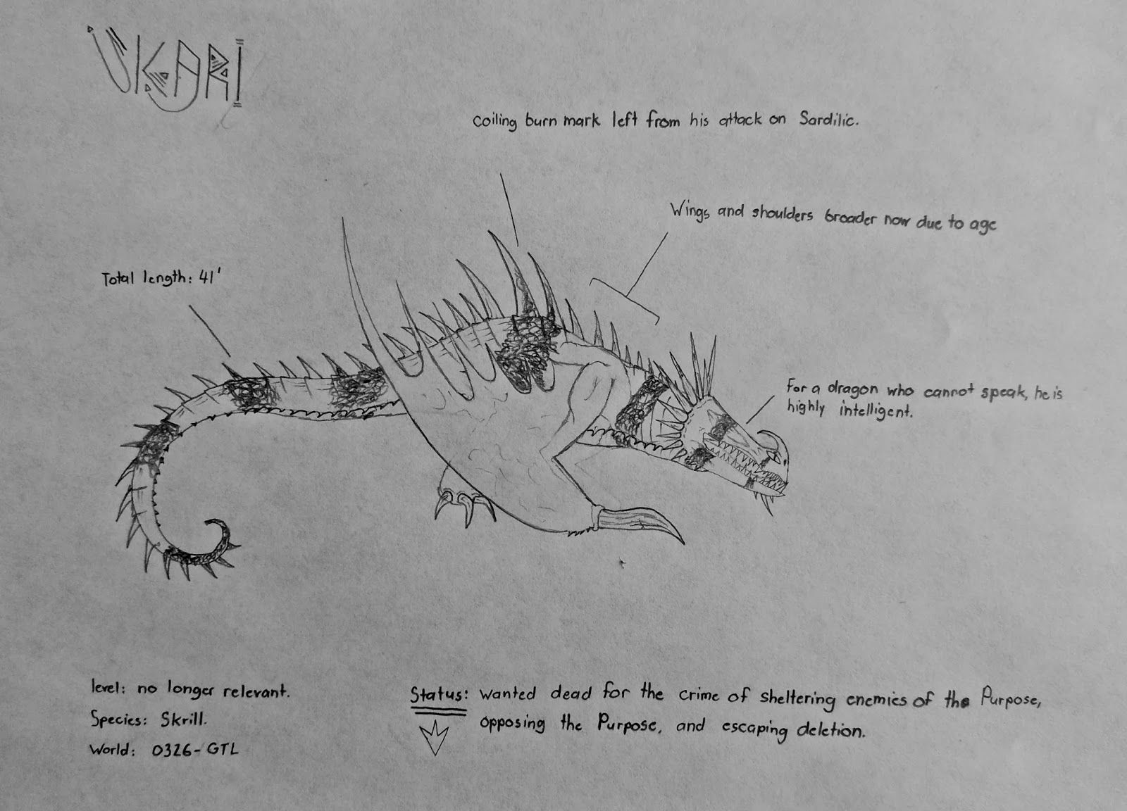 Skrill Dragon Drawing