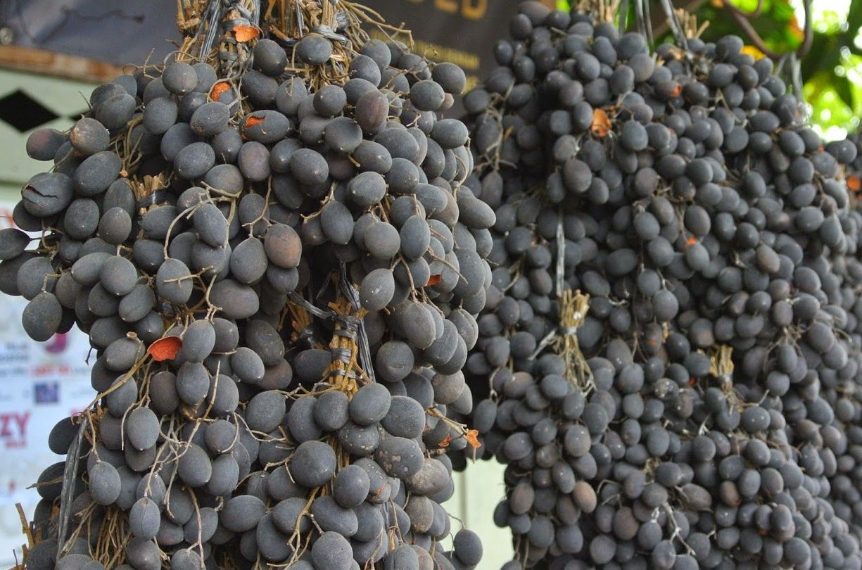 Bicara Mentari: Buah keranji rasa masam-masam manis