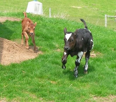 Fear the Name of the Lord Now; Fear Not His Return