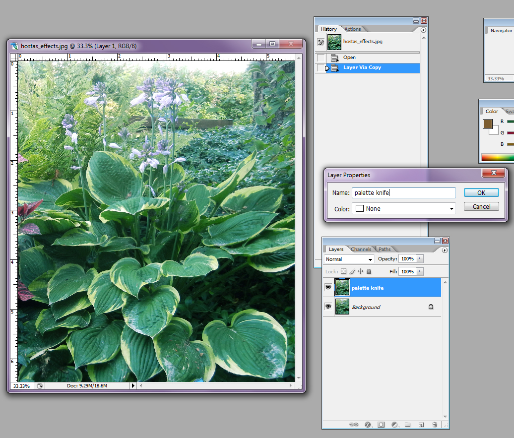 Photographing Flowers: Impressionist Flower Effects in Photoshop