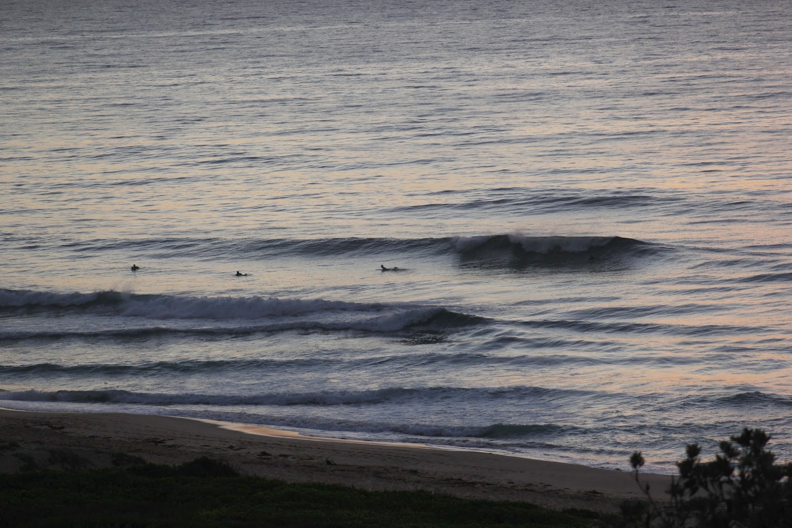 Shelly Beach Surf Report