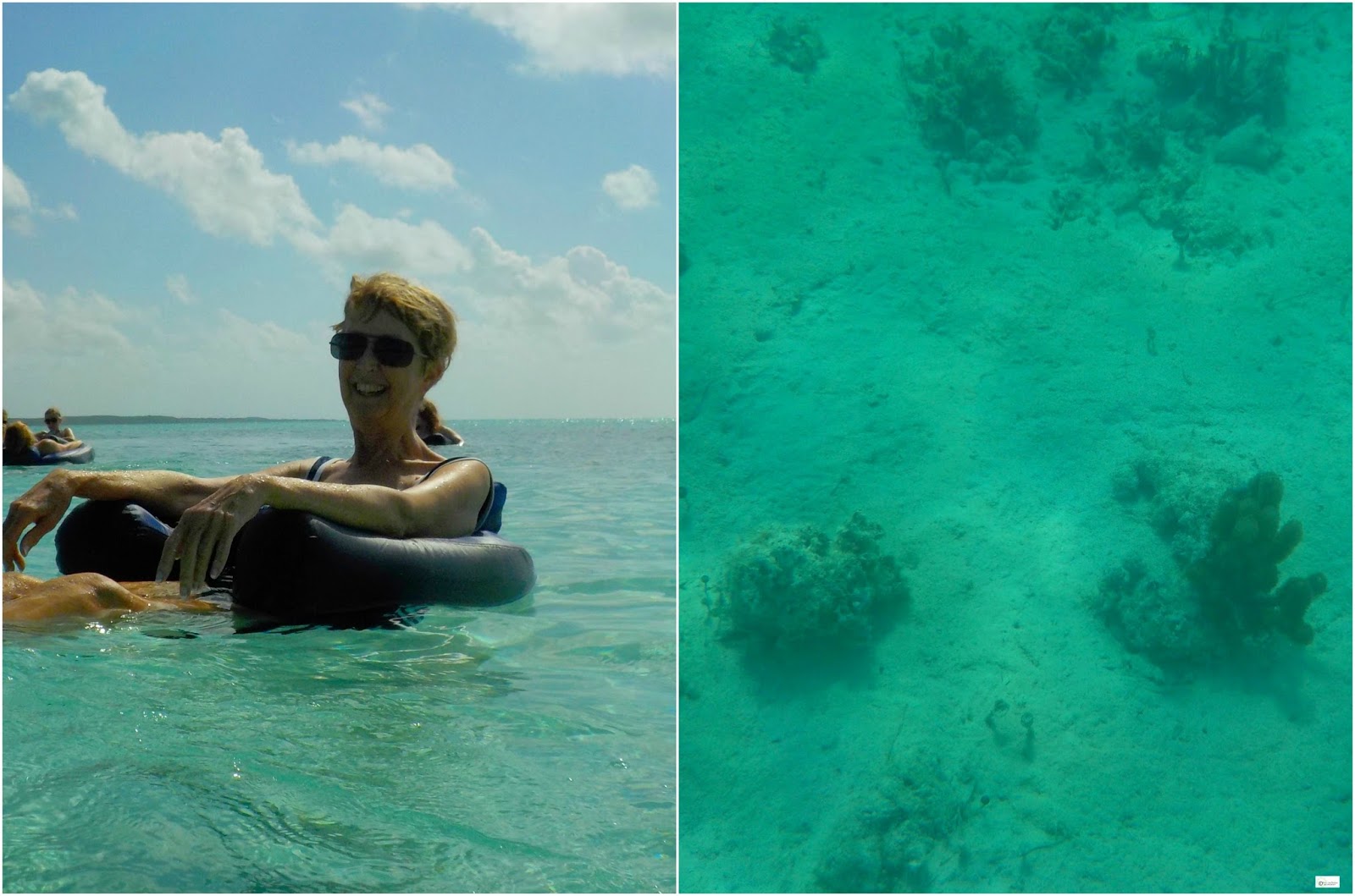 Reef Snorkeling and Sandbar Getaway Port Excursion, Coco Cay | Caravan ...