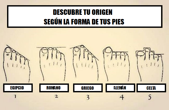 Descubre tus orígenes según tu tipo de pie - DeTodoUnPocoQuilla