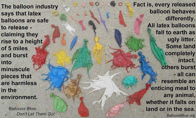 Balloon Releases Are Killing Wildlife and Marine Animals – Here’s What ...