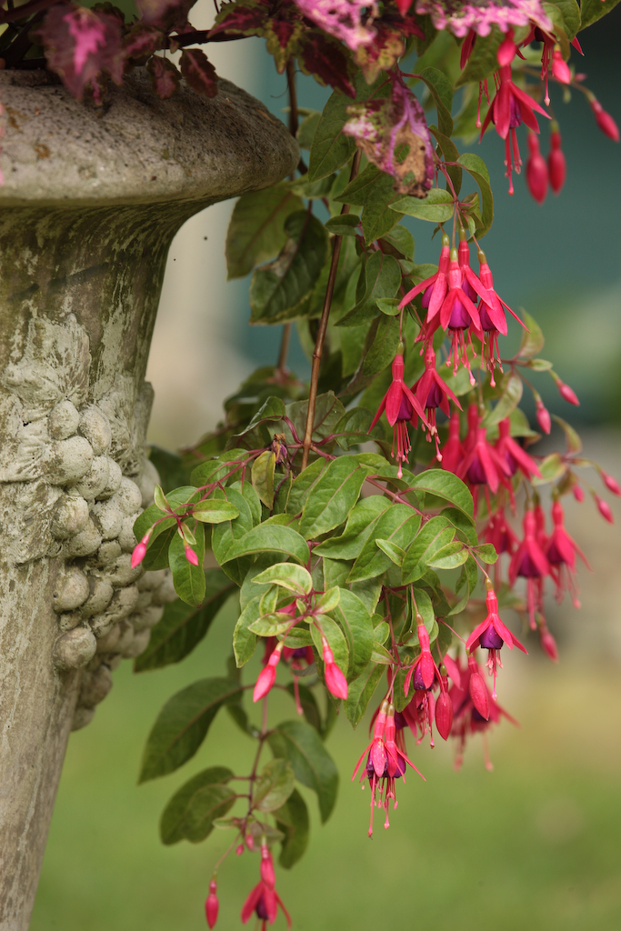 Fortnam Gardens: August 2012