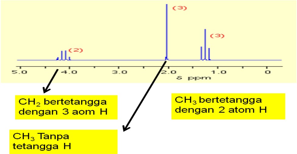 MUNAWIRUL QULUB: NUCLEAR MAGNETIC RESONANCE (NMR)