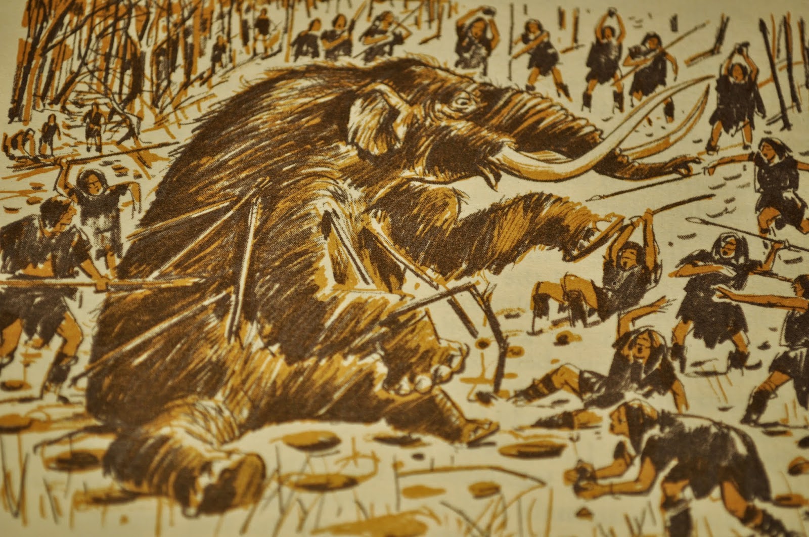 DIY Nature Science: August 2014