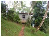 Mataisau: Our Island Home