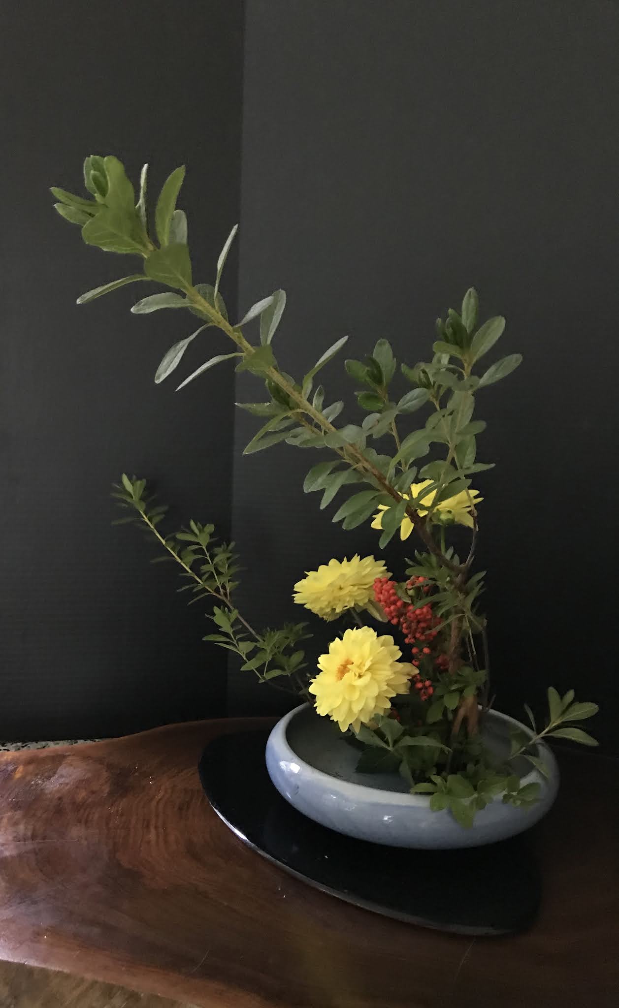 Orchids and Ikebana: Basic Slanting Style Moribana
