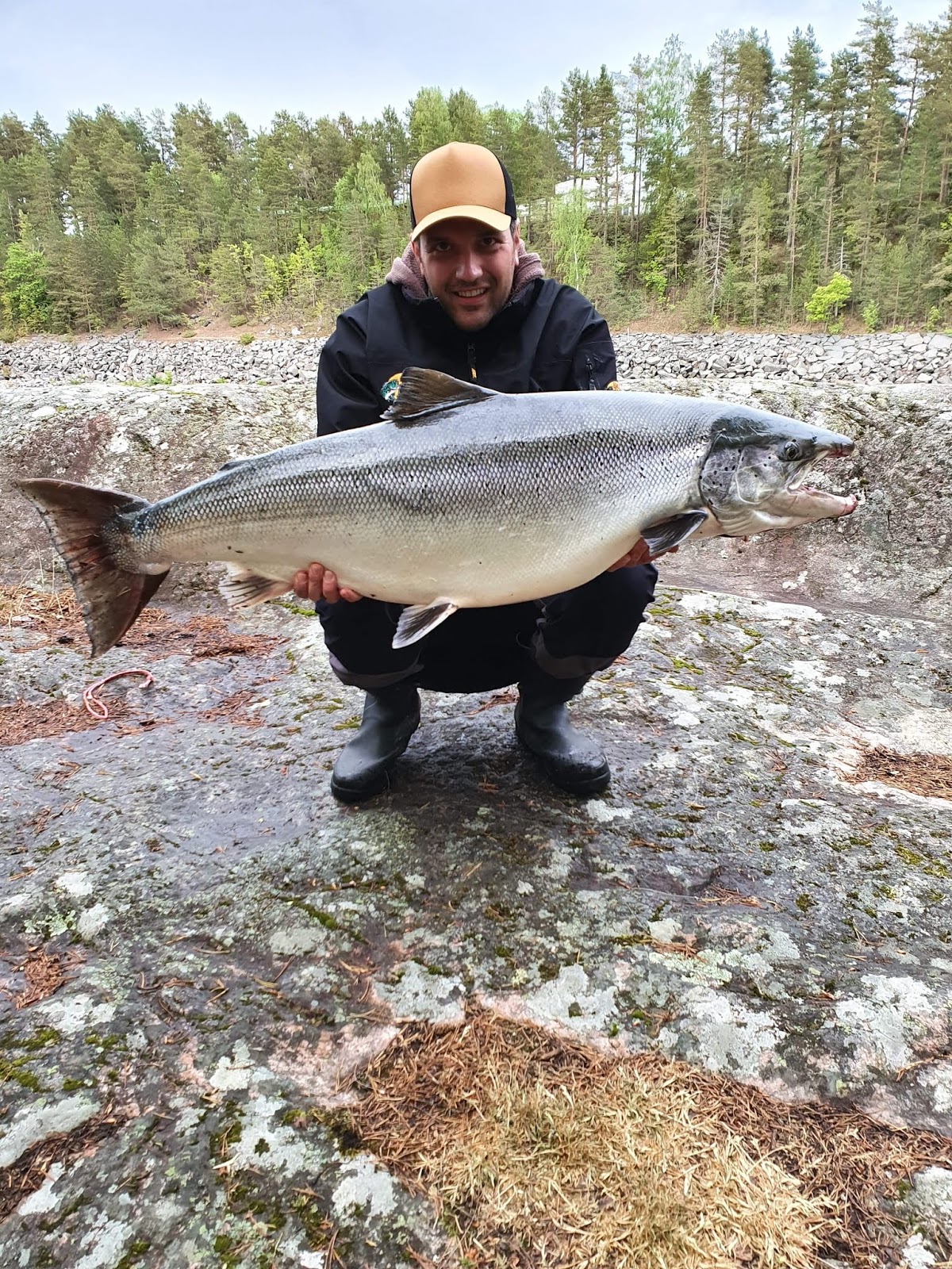 Älvkarleby | Storlax upp i kväll, stort grattis Spa,s! vikt 20+