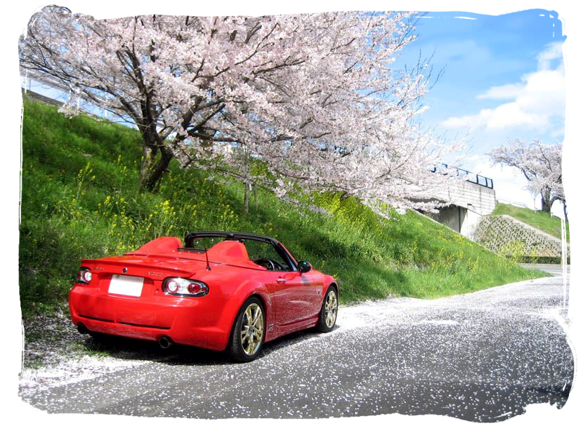 Roadster.Blog: Midori's True Red NC