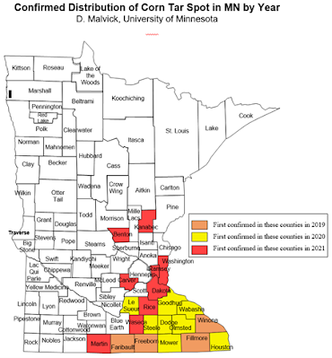Increasing tar spot of corn in Minnesota - Morning Ag Clips