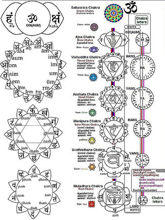 The Kundalini Consortium: How Vibrations Affect our Physical Reality ...