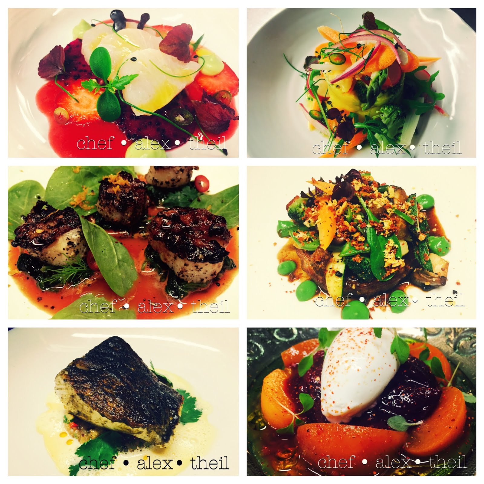 ALEX THEIL - latin inspired food • explosive flavors