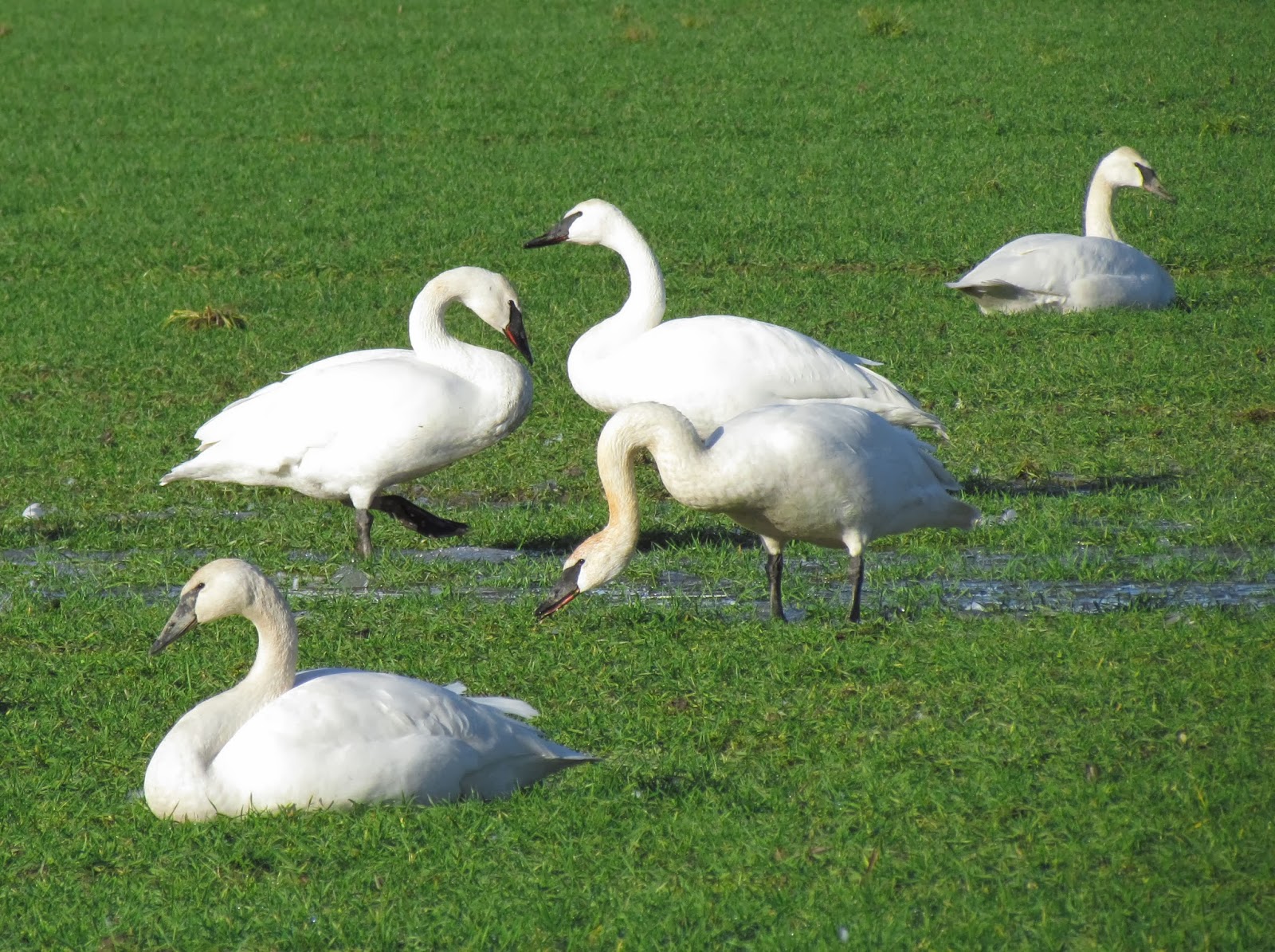 Scene Through My Eyes: An Amazing Day - Part 1