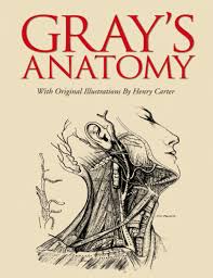 Books to study anatomy in mbbs 1st year