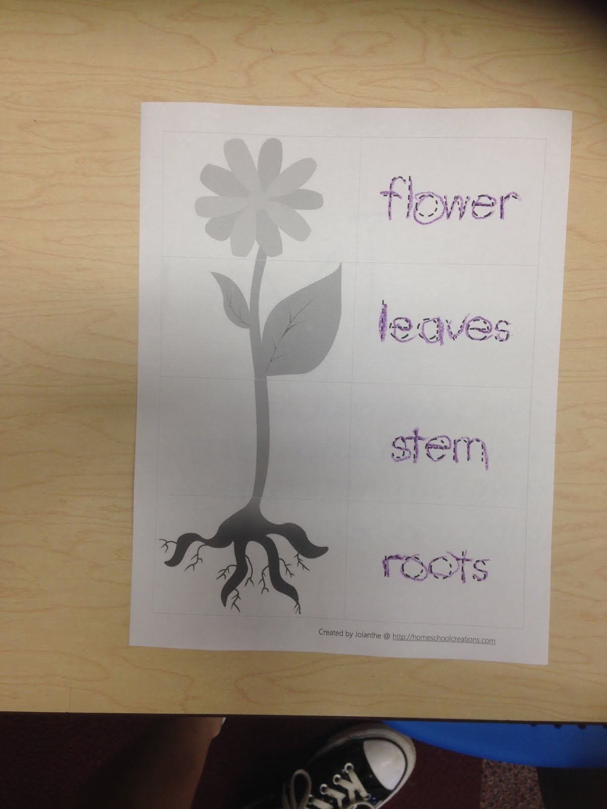 Summer School - Mad Science