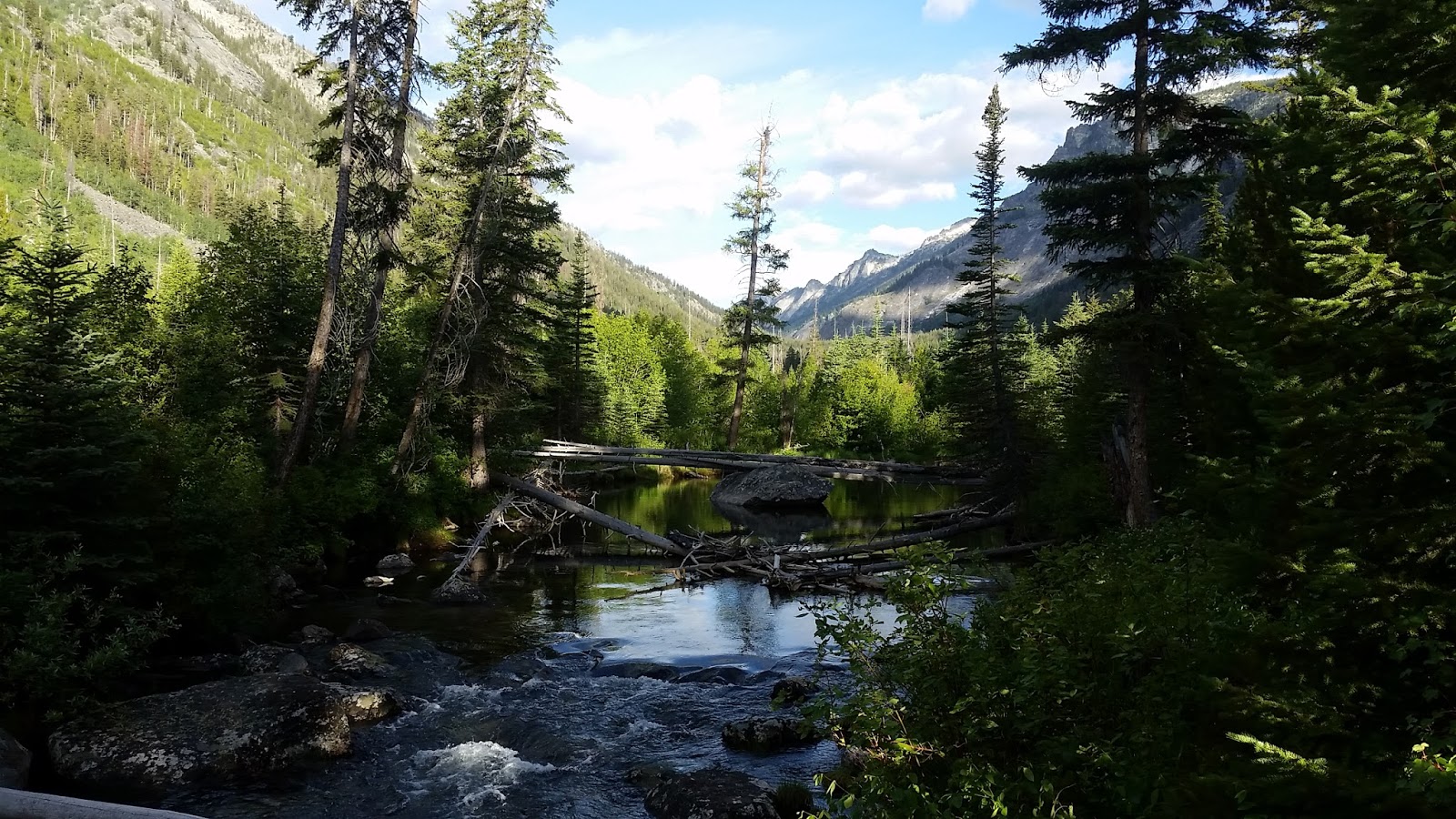 Montana Trail Runs - Bitterroot Mountains