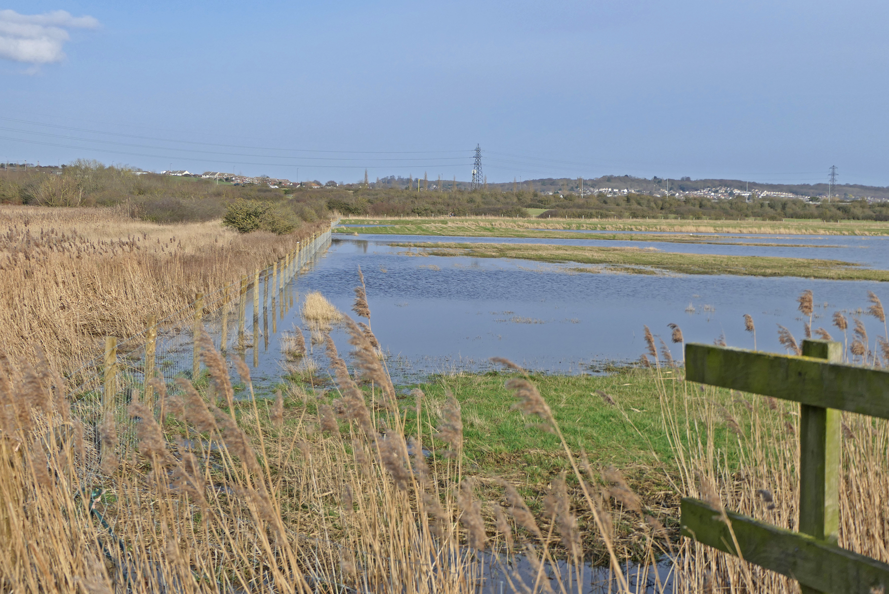 Bowers Marsh walk, February 2021 No. 8