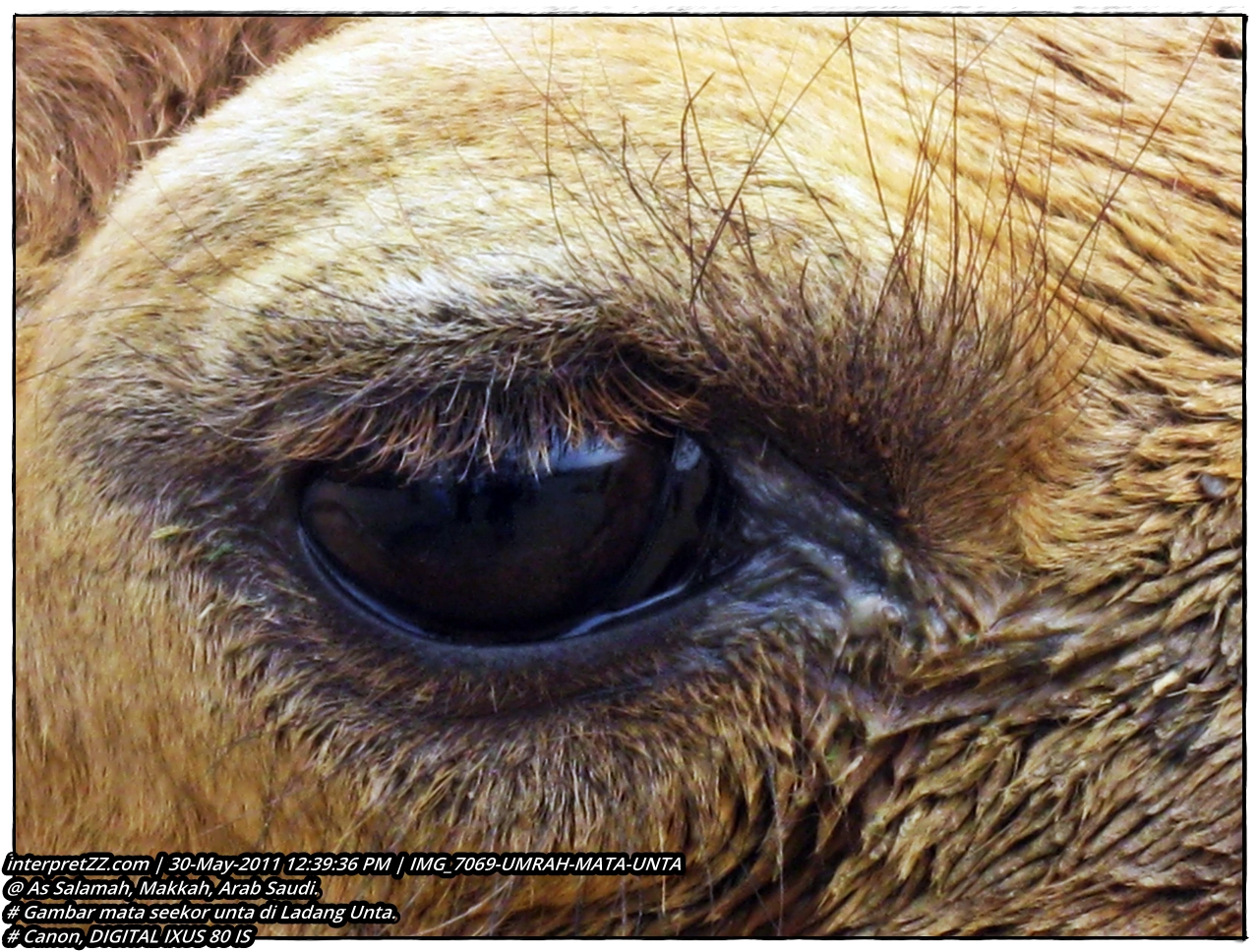 [t11e30] Menunaikan Umrah