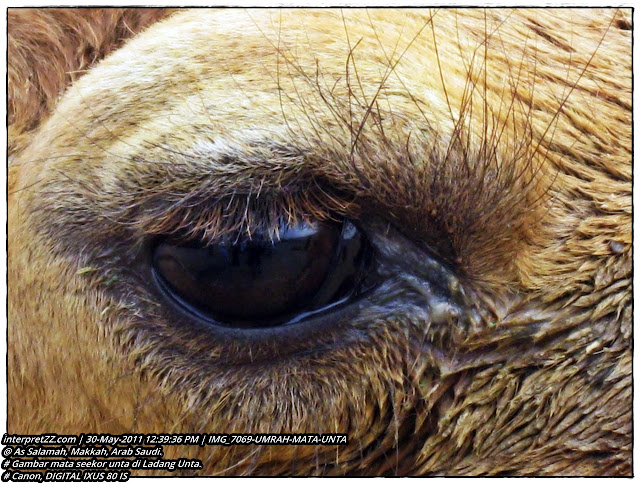 [t11e30] Menunaikan Umrah