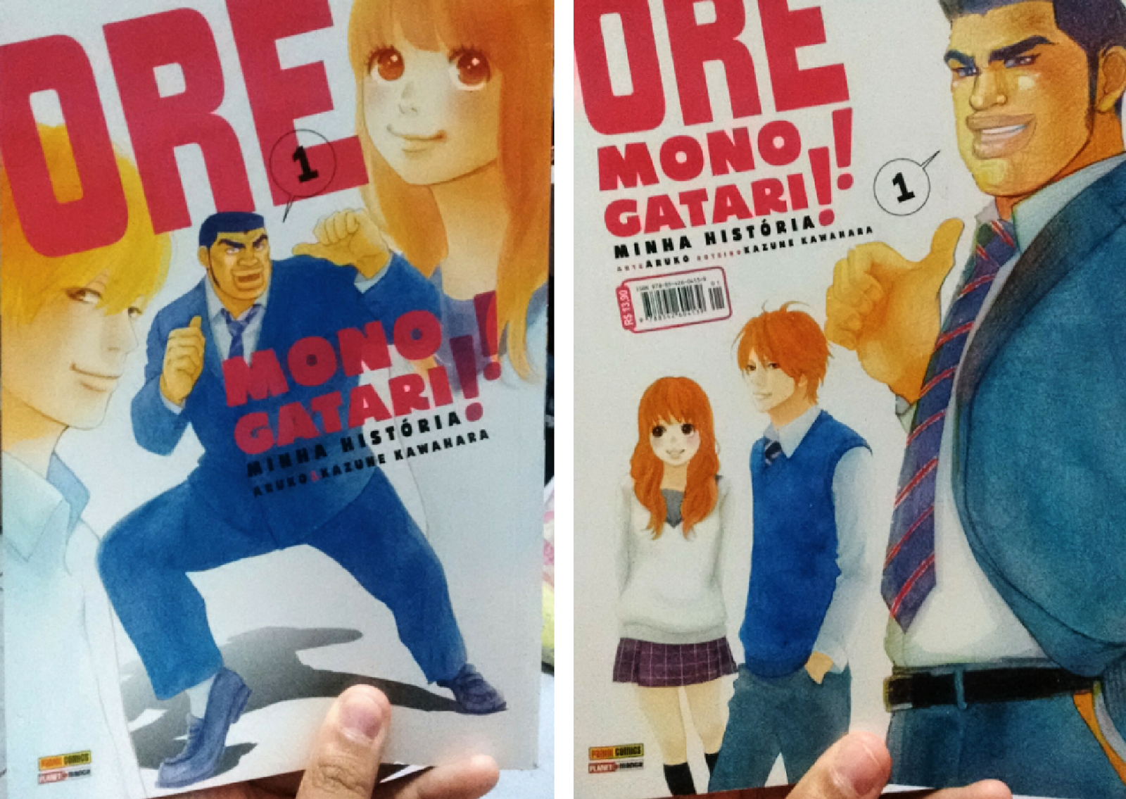 Vagando Entre Estantes: Mangá: Ore Monogatari - Aruko e Kazune Kawahara