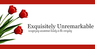 Exquisitely Unremarkable