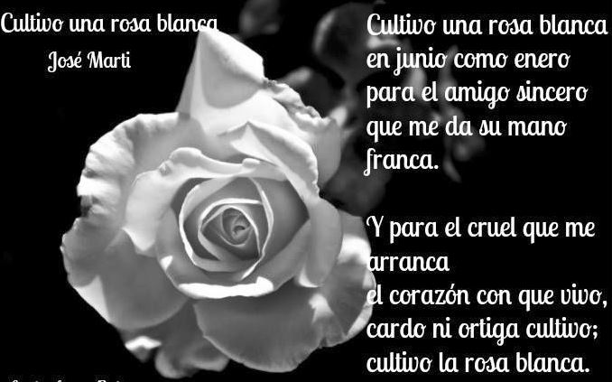 Blog del Curso de Español: Análisis del poema: Cultivo una rosa blanca ...