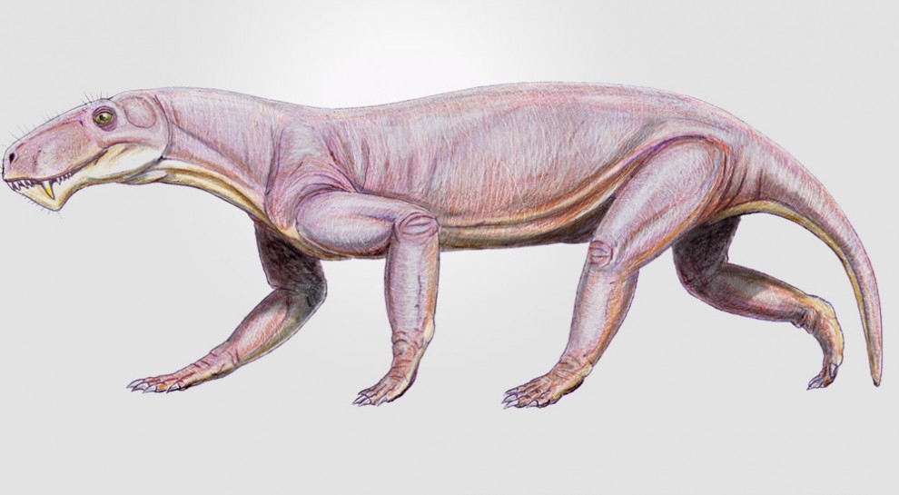 5 Kepunahan Massal part 3: Kepunahan Permian-Triassic