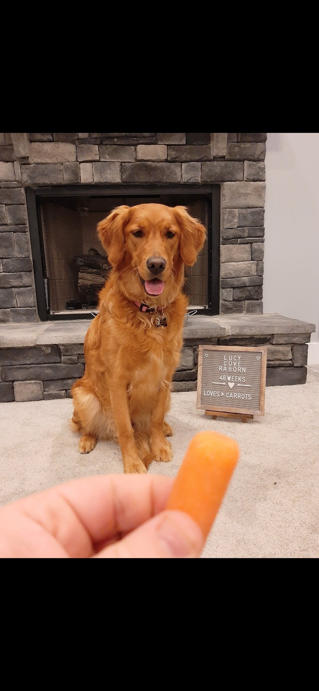 Newest Raborns on the Block!: Lucy Cove Raborn Growth Updates!