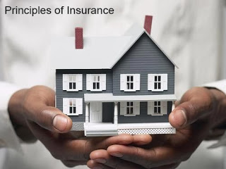 PRINCIPLE OF CONTRIBUTION IN INSURANCE - Insure Law