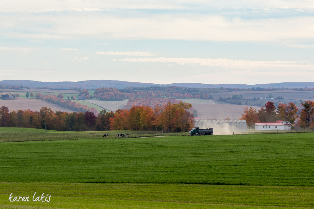and I wonder - if this were the view from my kitchen window