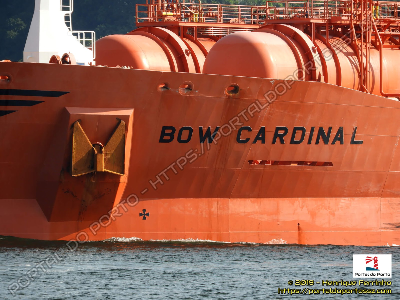 Bow Cardinal - Portal do Porto
