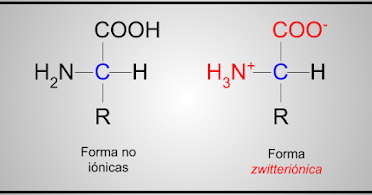 AMINOÁCIDOS CON GRUPOS R BÁSICO.