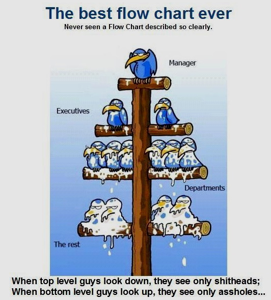 Latest Crazy World News