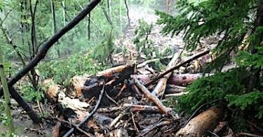 Rocky Mountain Journal: Heavy Rain Closes Part of Fern Lake Trail ...