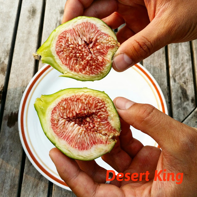 Seattle Garden & Fruit Adventures: Desert King Breba Fig Tasting 2016
