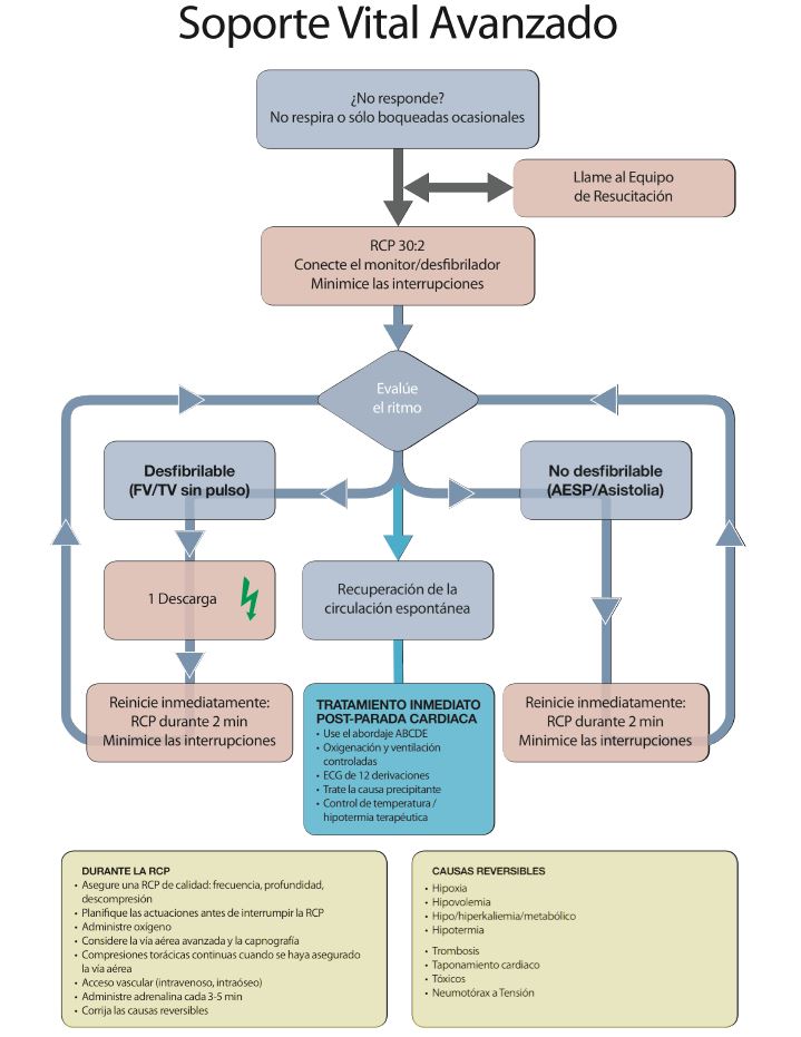 Medicina y Melodía: Claves de la RCP
