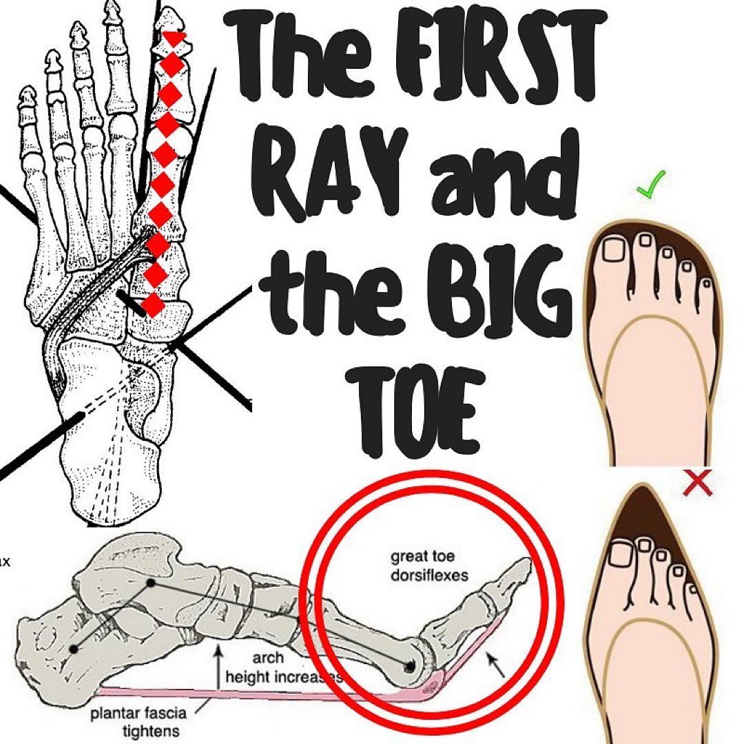 RUNNING GAIT CYCLE: Understand your foot and choose footwear wisely