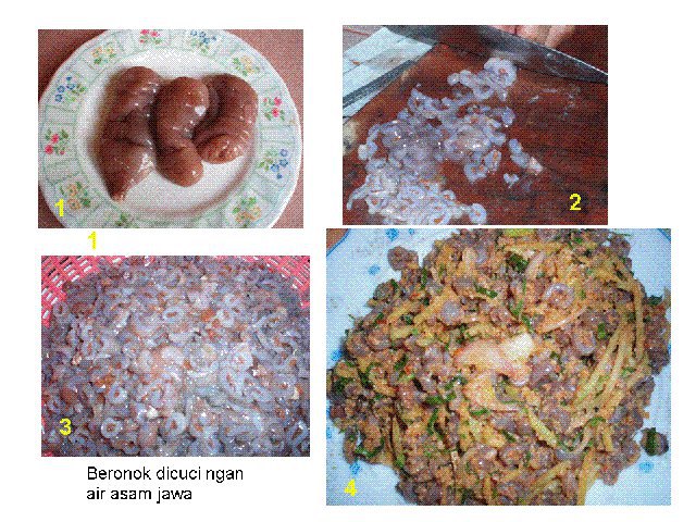 ...HANANIA EEDAYA...: Beronok...makanan eksotik penduduk Langkawi..