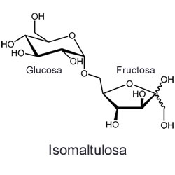 Principios de la bioquímica : Carbohidratos