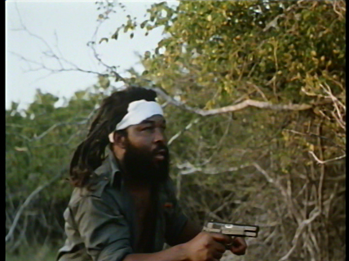 The Department of Afro American Research, Arts and Culture