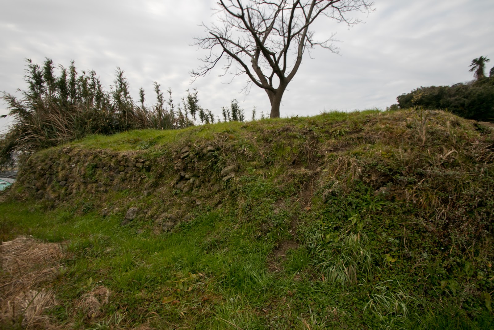 Hinoe Castle -Majestic castle of pious Christian lord- | Ken's Storage ...