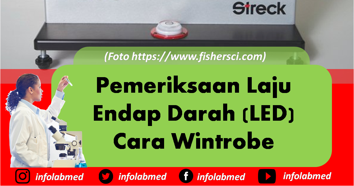 Pemeriksaan Laju Endap Darah (LED) Cara Wintrobe