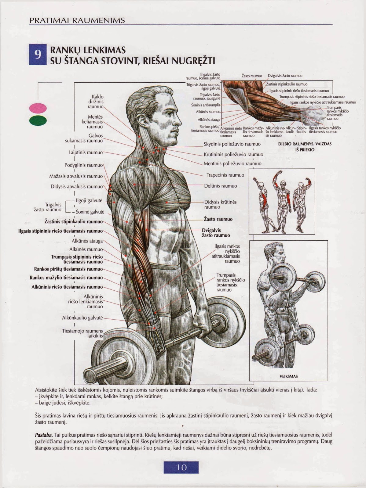 Pratimai raumenims: Rankos
