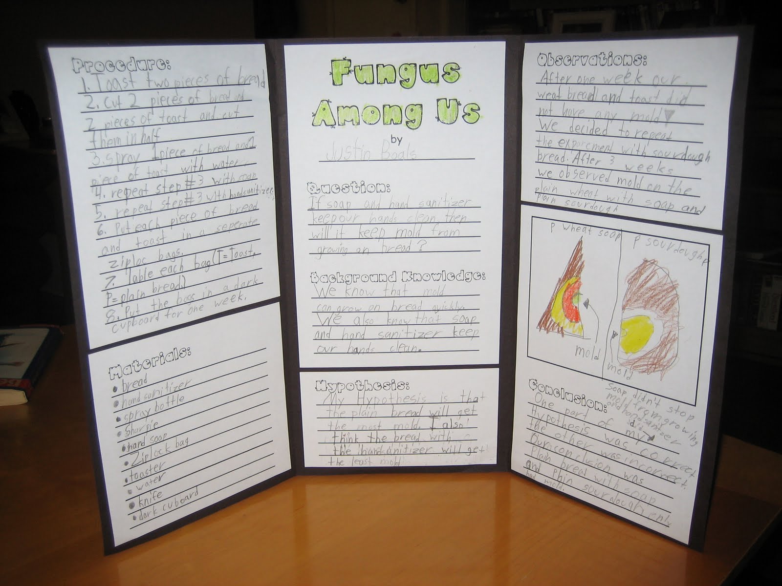 Fungus Among Us Science Project