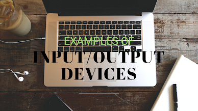 Examples of Input Devices