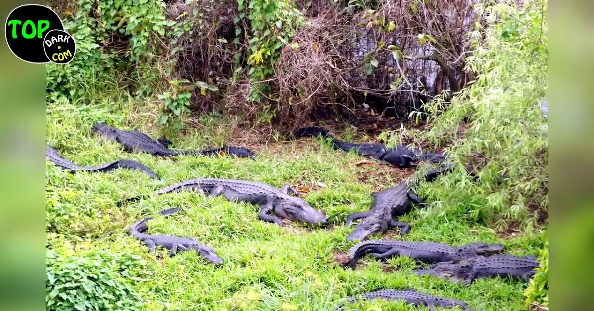 compartiendo mi devocional diario: Abre tu mano al hermano y al ...